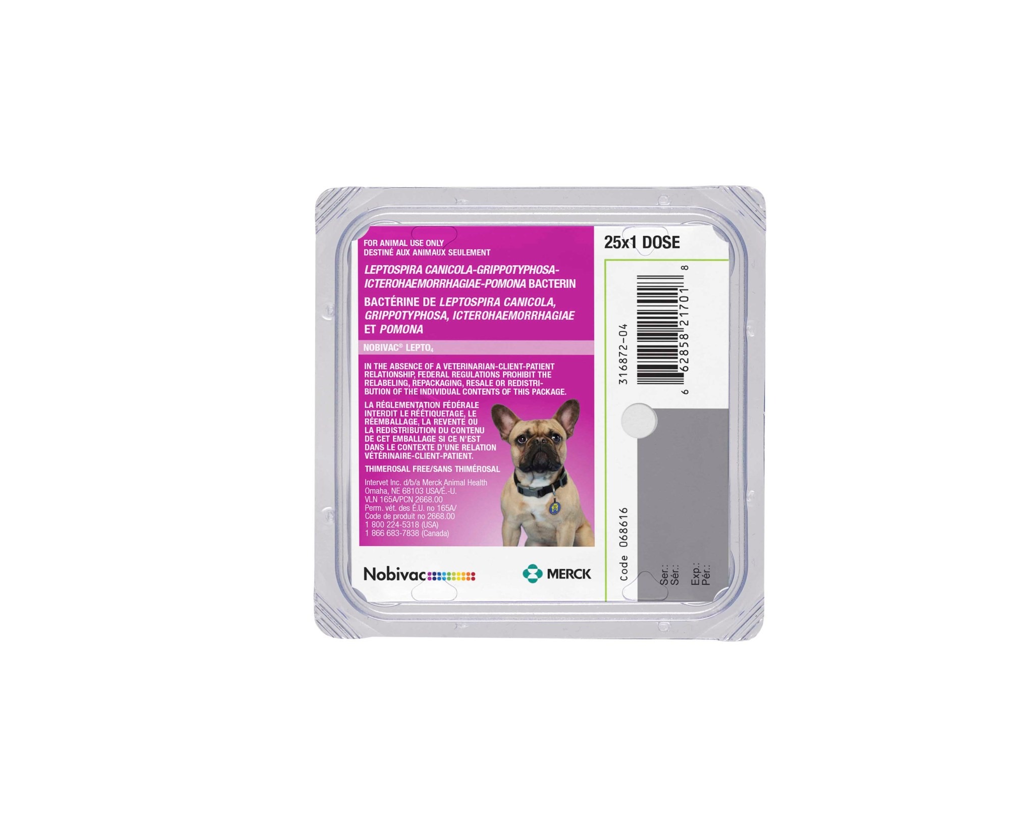 NOBIVAC® Lepto₄ - Merck Animal Health USA