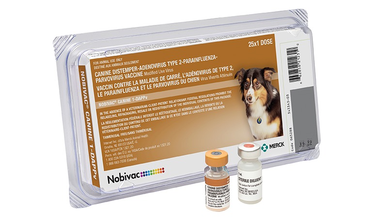 NOBIVAC® INTRA-TRAC® - Merck Animal Health USA