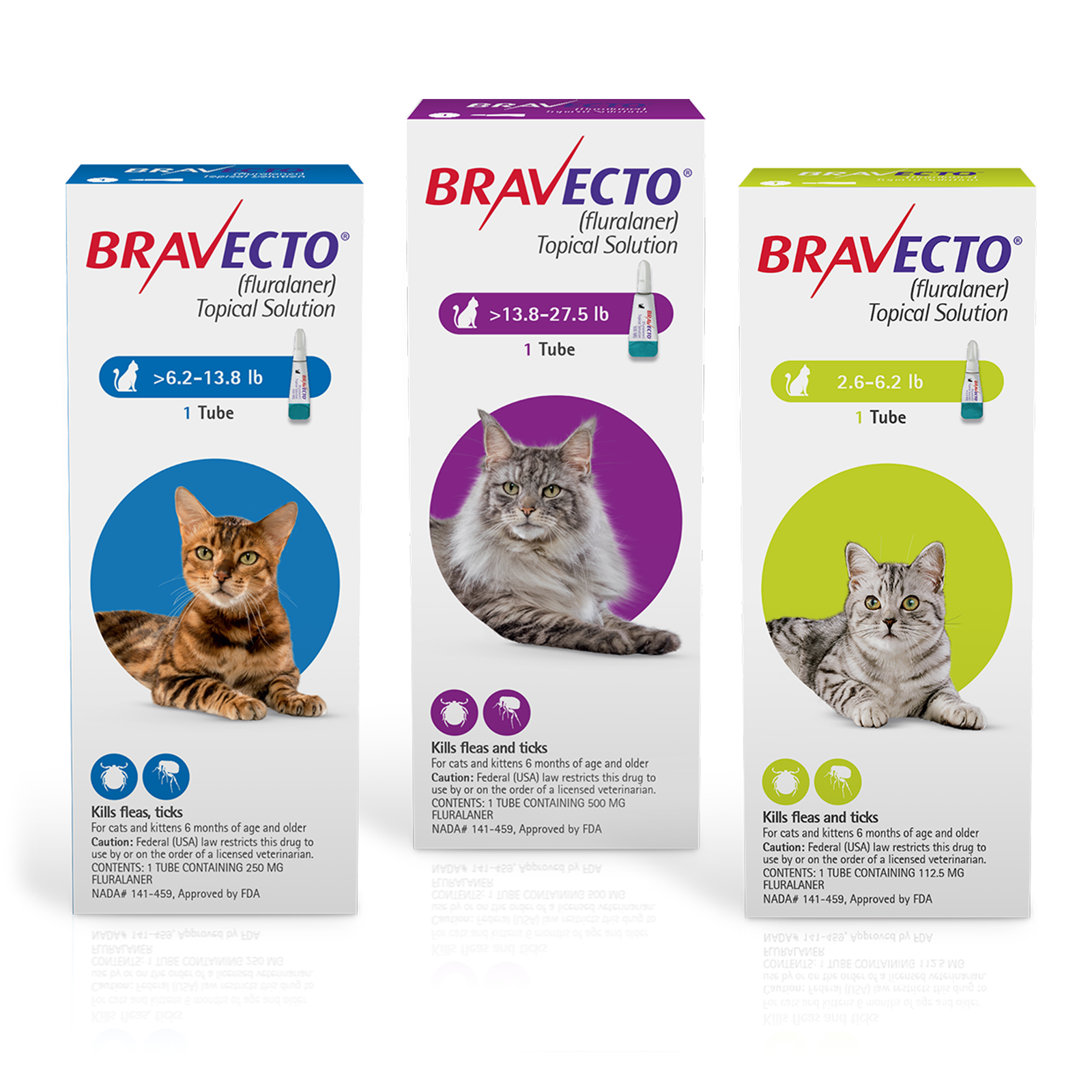 BRAVECTO® (fluralaner topical solution) for Cats - Merck Animal Health USA