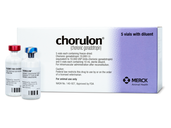 CHORULON® - Merck Animal Health USA