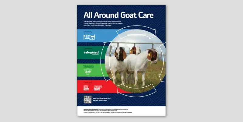 All Around Goat Care Protocol Poster - Merck Animal Health USA