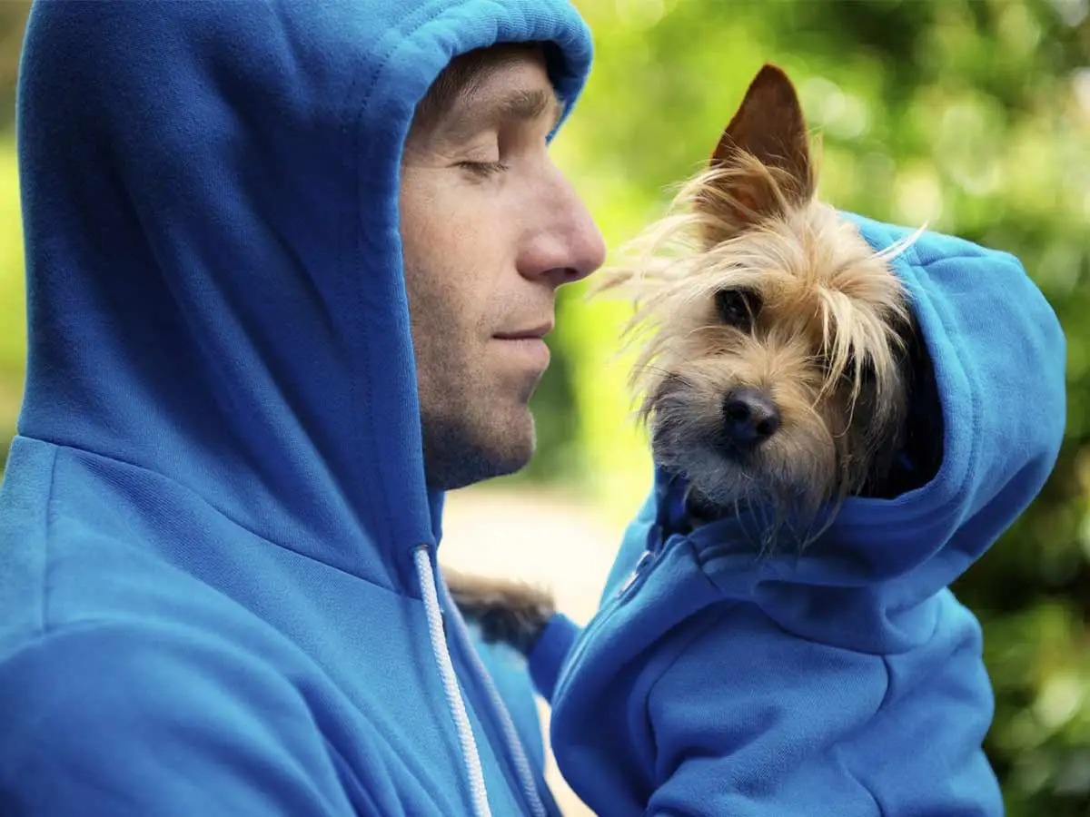 Does my pet need clothes? - Merck Animal Health USA