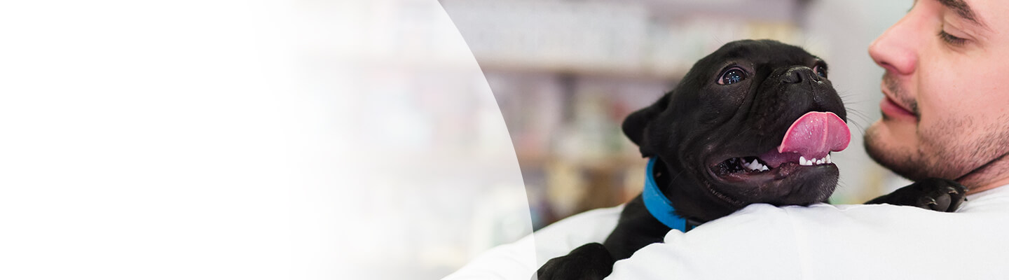 The Somogyi Effect - Merck Animal Health USA