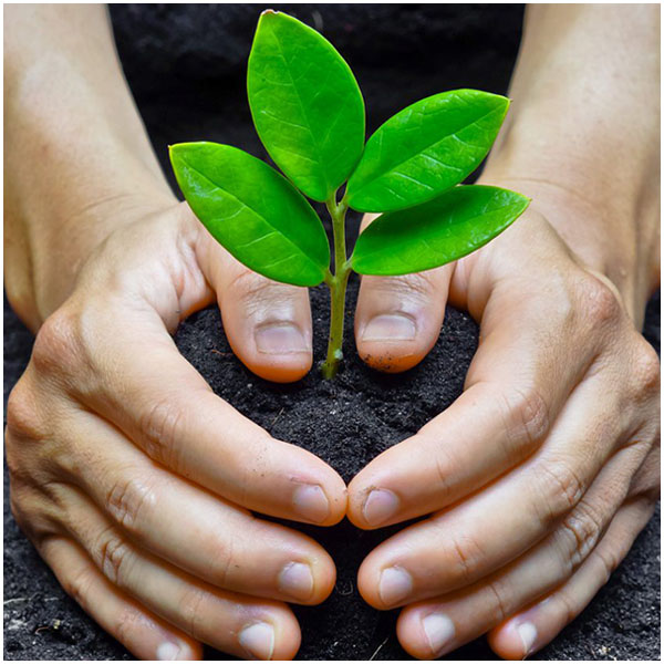 Caring for the Environment - Merck Animal Health USA