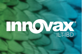 INNOVAX®-ILT-IBD - Merck Animal Health USA