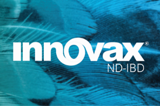 INNOVAX®-ND-IBD - Merck Animal Health USA