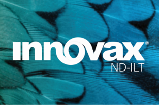 INNOVAX®-ND-ILT - Merck Animal Health USA