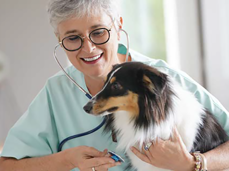 Finding Unconditional - Merck Animal Health USA
