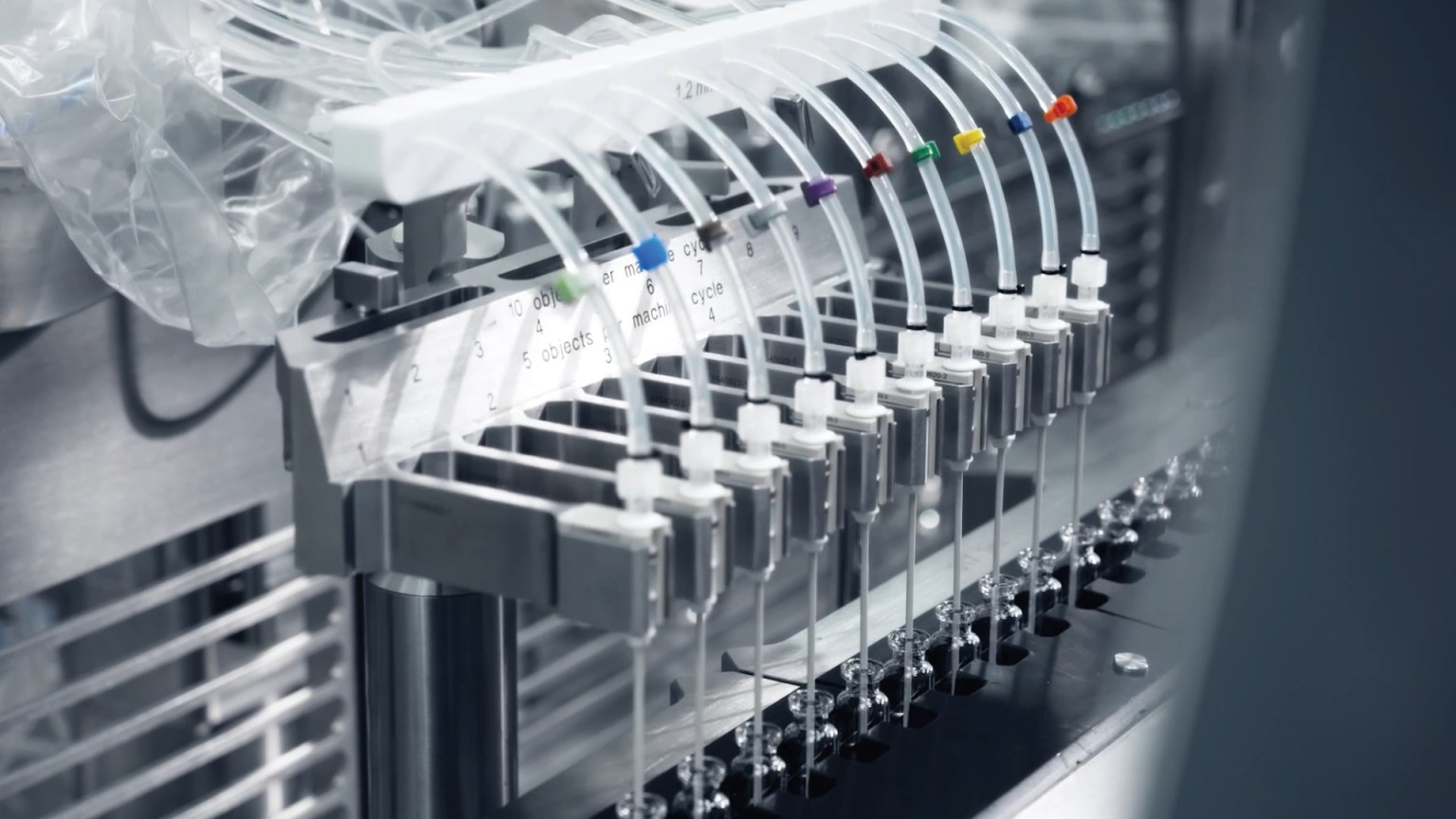 VISION® vaccines lead the way in clostridial protection - Merck Animal ...