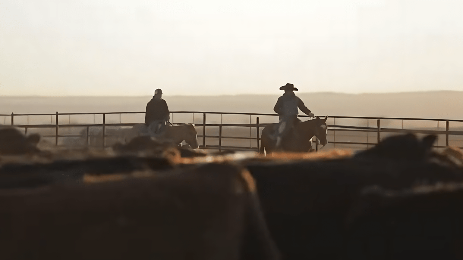 BRD prevention starts with low-stress cattle handling - Merck Animal ...