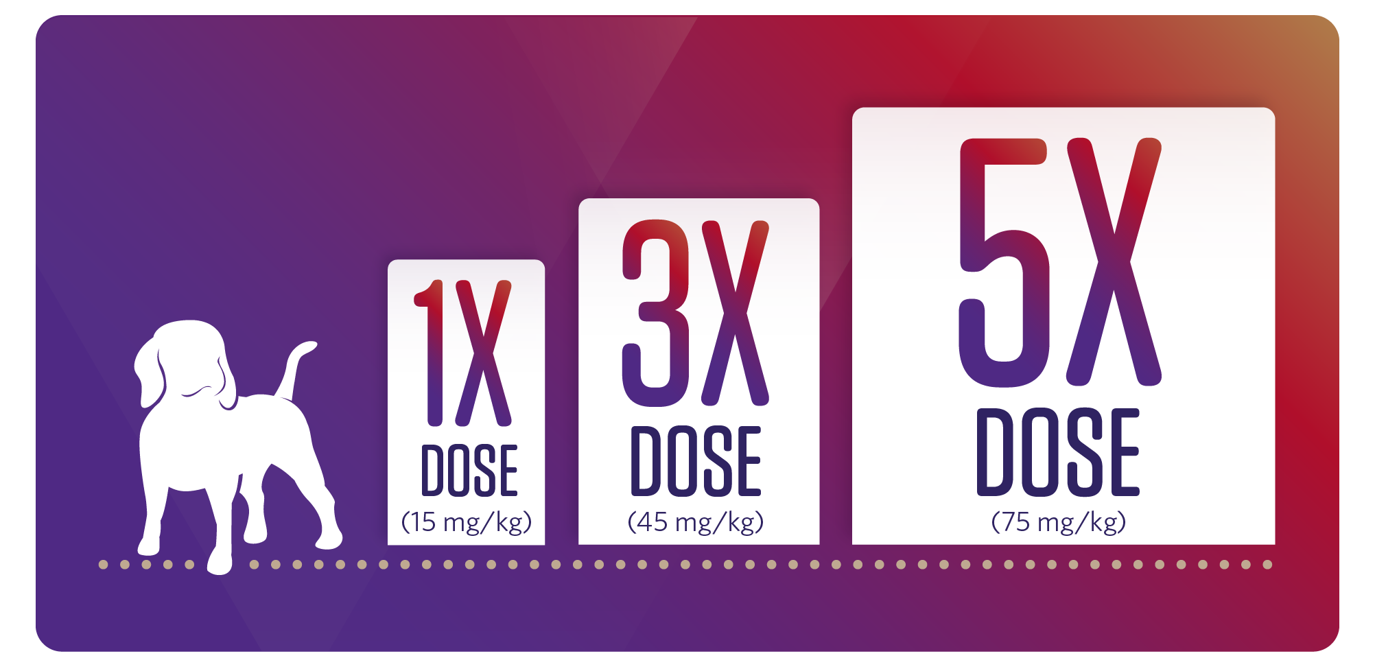 BRAVECTO® Quantum - Merck Animal Health USA